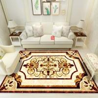 China New European Style Polyester Fiber Living Room Carpet 100x160cm Machine Washable for sale