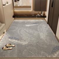 China Polyester Fiber Entry Door Floor Mat 80x120cm Custom Size Luxury Carpet Rug for sale