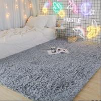 China Polyester Fiber Plush Blanket Bedroom Floor Carpet 60x160cm Machine Washable for sale