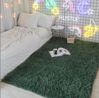 China Polyester Fiber Plush Blanket Bedroom Floor Carpet 60x160cm Machine Washable for sale