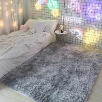 China Customizable 80x160cm Machine Washable Polyester Plush Blanket Carpet for Living Room Bedroom Floor for sale
