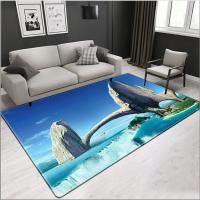 China Customizable Polyester Fiber Living Room Floor Carpet 100x150cm Machine Washable for sale