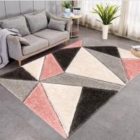 China Polyester Fiber Living Room Floor Carpet 100x150cm Machine Washable Custom Size for sale
