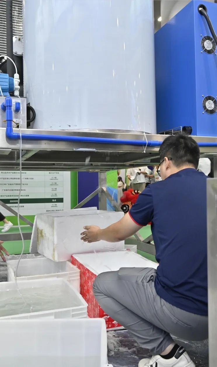 ice flake machine