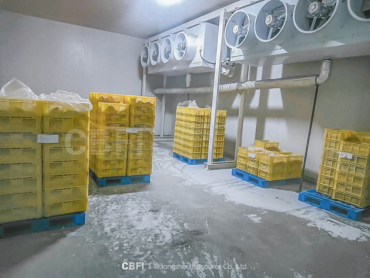 quick freezer