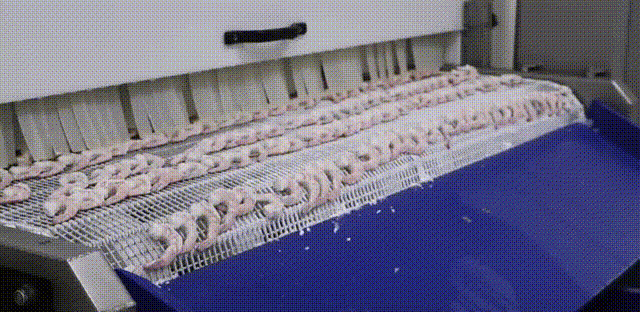 Quick frozen shrimp production line