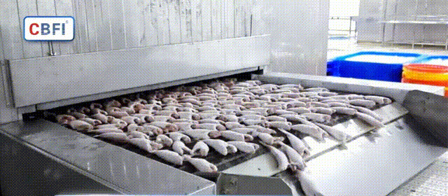 Quick frozen whole fish production line