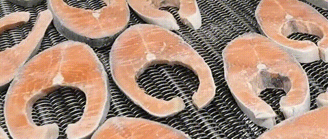 Quick frozen salmon production line