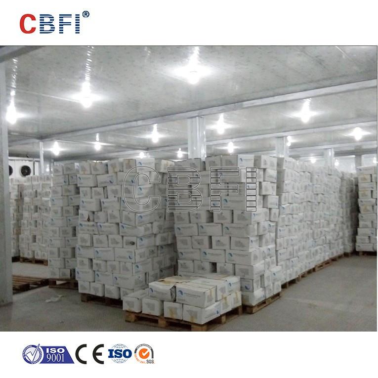 low temperature frozen freezer