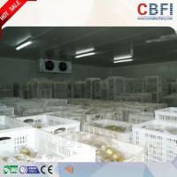 China Customized Freezer Cold Room 100-200mm PU Panel Low Power Consumption for sale