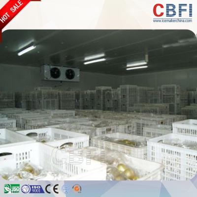 China Customized Freezer Cold Room 100-200mm PU Panel Low Power Consumption for sale