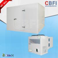 China Industrial Blast Freezer for Meat Seafood -18 to -25°C Customizable Cold Room for sale