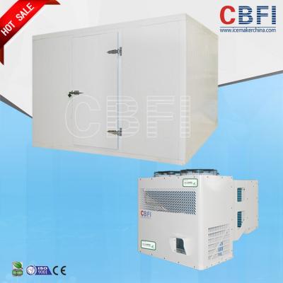 China Industrial Blast Freezer for Meat Seafood -18 to -25°C Customizable Cold Room for sale