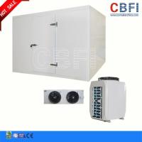 China Commercial Blast Chiller 100mm to 200mm Panel with LG Electrical Components for Hotel Supermarket for sale