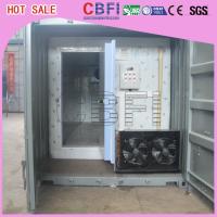 China Quick Freezing Container Cold Room 20 Ft 40 Ft Customized Cold Storage for Fish Meat Vegetables for sale