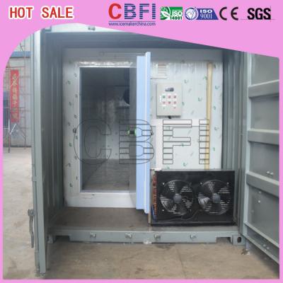 China Quick Freezing Container Cold Room 20 Ft 40 Ft Customized Cold Storage for Fish Meat Vegetables for sale