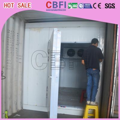 China 20ft 40ft Container Cold Room 5 to 14 Ton Capacity Italy Castal Compressor for sale