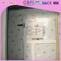 China Mobile Container Cold Room 20ft 40ft Air or Water Cooling Multi Function Freezer for sale