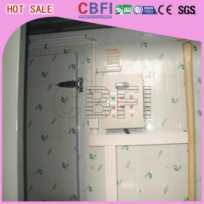 China Mobile Container Cold Room 20ft 40ft Air or Water Cooling Multi Function Freezer for sale