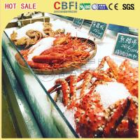 China Heavy Duty Flake Ice Machine for Fishery 500kg to 30 Ton 24hrs Stainless Steel for sale
