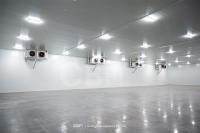 China Air Cooling Freezer Cold Room Refrigerated Chicken Storage 5000 Tons for sale