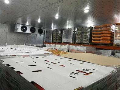 China 6500 Ton Freezer Cold Room Food Refrigeration R404a Water Cooling System for sale