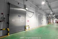China 6500 Ton Food Storage Cold Room Freezer with R404a Refrigerant and IoT Monitoring for sale