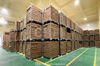 China 6500 Ton Food Storage Cold Room Freezer with R404a Refrigerant and IoT Monitoring for sale