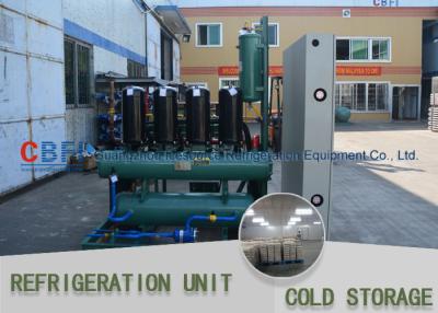 China Ice Cooling Freezer Cold Room America Copeland Compressor Condensing Unit 100MM Panel for sale