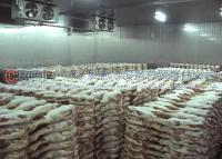 China R507 R404a 1000 Ton Capacity Large Freezer Cold Room for Meat Fish Chicken Storage for sale