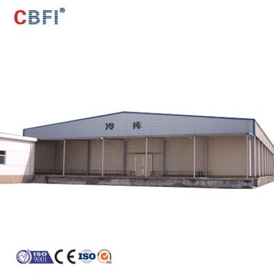 China R404a Food Storage Cold Room 5000 Tons Meat Cold Storage Freezer for sale
