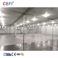 China R507 R404a 1000 Ton Capacity Large Freezer Cold Room for Meat Fish Chicken Storage for sale