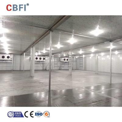 China R507 R404a 1000 Ton Capacity Large Freezer Cold Room for Meat Fish Chicken Storage for sale