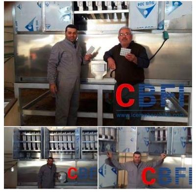 China Freon Gas System Cube Shaped Ice Making Machines Bock /  / Copeland Compressor for sale