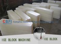 China Transparent Ice Block Machine Block Ice Maker With Stainless Steel Ice Mold for sale