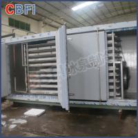 China Fish Quick Frozen Equipment Commercial Blast Freezer 5 Ton Per 8 Hrs Customizable Size for sale