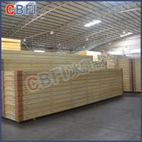 China Fish Quick Frozen Equipment Commercial Blast Freezer 5 Ton Per 8 Hrs Customizable Size for sale