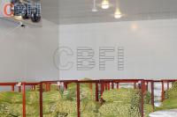 China -25 Degree Commercial Blast Freezer Cold Storage With Customized Room Size for sale