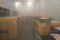 China -25 Degree Commercial Blast Freezer Cold Storage With Customized Room Size for sale