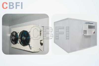China Walk In Cold Storage Blast Chiller Freezer 100mm 150mm PU Panels Custom Size for sale