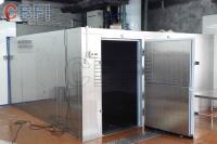 China Walk In Cold Storage Blast Chiller Freezer 100mm 150mm PU Panels Custom Size for sale