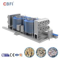 China CBFI Individual Quick IQF Double Spiral Freezer For Fish Processing Line for sale