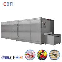 China Automatic Industrial Mesh Belt IQF Tunnel Freezer for Shrimp Meat French Fries Blast Chiller 500kg/h for sale