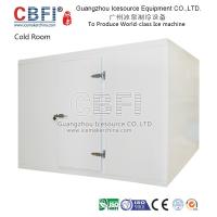 China Energy Saving Walk In Blast Freezer Industrial Blast Freezer 60 to 30C Custom Size for sale