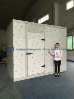 China CE 2 Ton 4 Hrs Commercial Blast Freezer Unit For Chicken Processing Room for sale