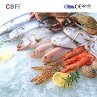 China Stainless Steel Double Spiral Freezer 500kg/h Industrial IQF Shock Freezing Machine for sale