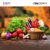 China PLC IQF Tunnel Freezer Freezing Machine -40°C for Fruits Vegetables Chicken Fish Shrimp Pasta Poultry for sale