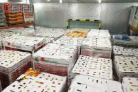 China Customized Low Temperature Cold Room Freezer for Cheese Frozen Food Storage -18 to -25°C for sale