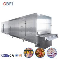 China 2000kg/h Tunnel Quick Freezer Machine for Frozen Food Fruit Vegetables Seafood for sale