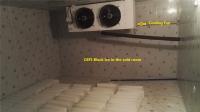 China Commercial Block Ice Machine 10 Tons Per Day BBI100 Brine Refrigeration for Fishing for sale
